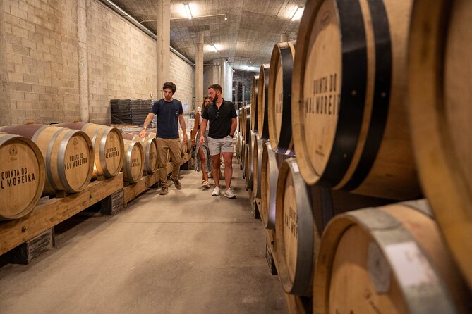 Small Group Douro Valley Wine Tour with Lunch and Cruise - Final Summary