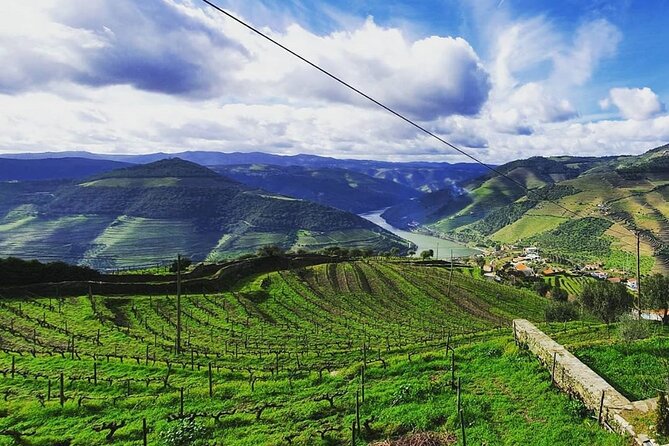 Small Group Douro Wine Valley Tour With Lunch and Wine Tasting - Tour Logistics