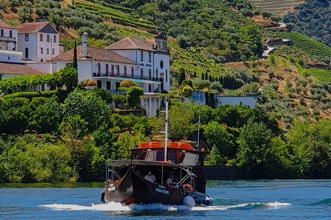 Small Group Douro Wine Valley Tour With Lunch and Wine Tasting - Sampling the Finest Wines