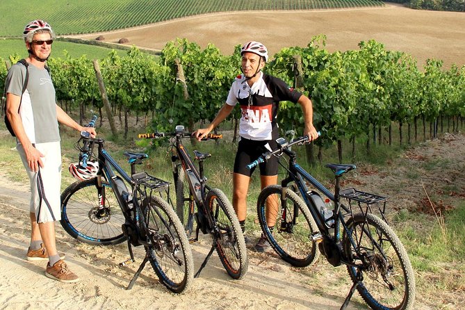 Small Group E-Bike Chianti Tour With Farm Lunch From Siena - Traveler Reviews and Feedback