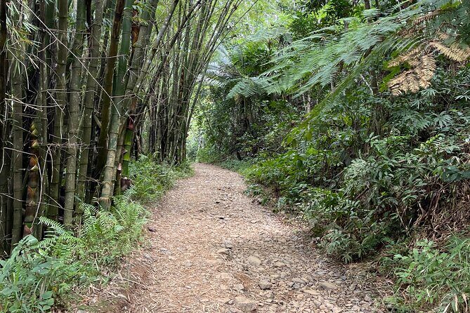 Small Group El Yunque Half Day Tour with Transport: Waterslide - Physical demands and considerations