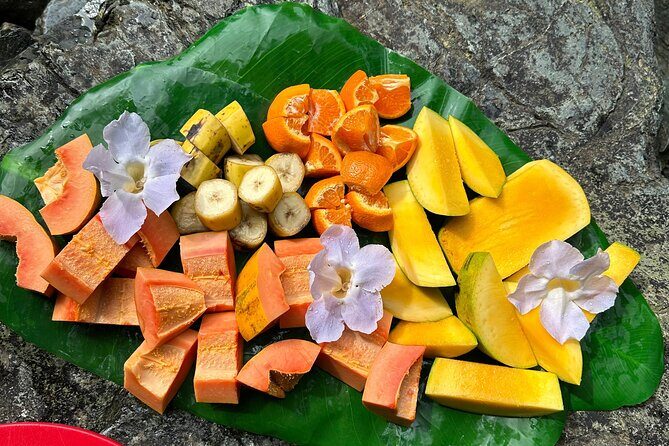 Small-Group El Yunque Rainforest & Transportation Luquillo Beach - Key Points