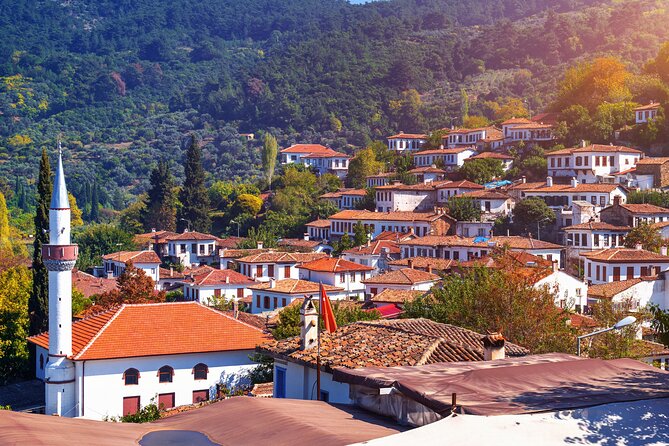 Small Group Ephesus & Sirince Village Tour From Kusadasi / Selcuk Hotels - Historic Landmarks: Artemis Temple, Isa Bey Mosque, and More