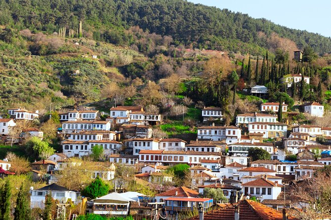 Small Group Ephesus & Sirince Village Tour From Kusadasi / Selcuk Hotels - The Roman Era: The State Agora and Hadrian’s Temple