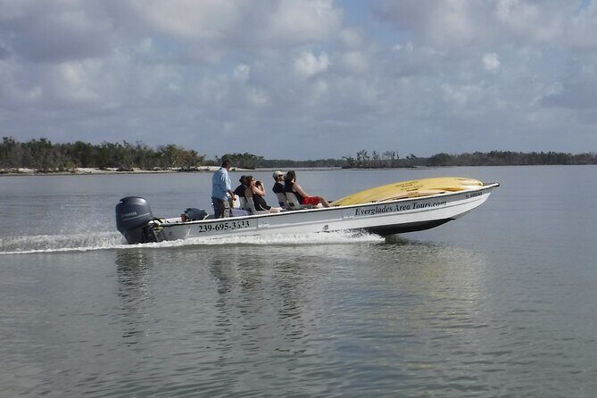 Small-Group Everglades Boating Kayaking and Walking Eco Tour - Who Will Love This Tour?