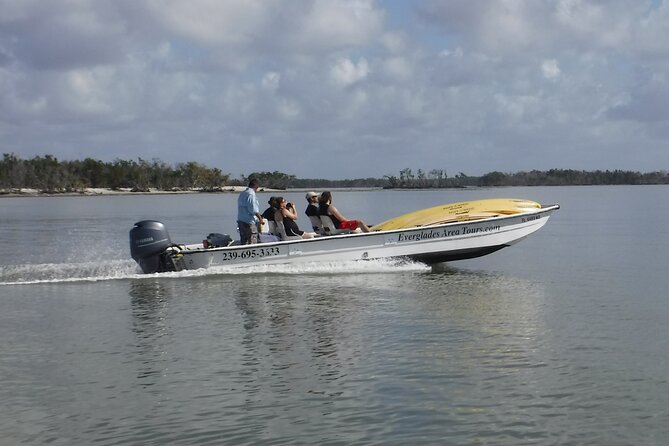 Small-Group Everglades Boating Kayaking and Walking Eco Tour - Customer Reviews and Feedback