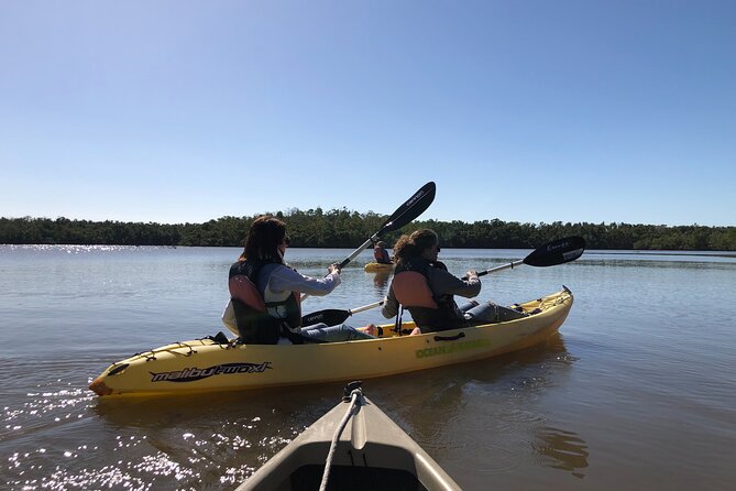 Small-Group Everglades Boating Kayaking and Walking Eco Tour - Exploring the Unique Everglades Ecosystem