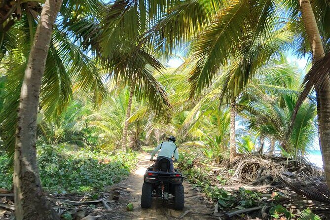 Small Group Exclusive 4x4 ATV Punta Cana: Jungle & Wild Beaches! - Final Thoughts: Who Will Love This Tour?
