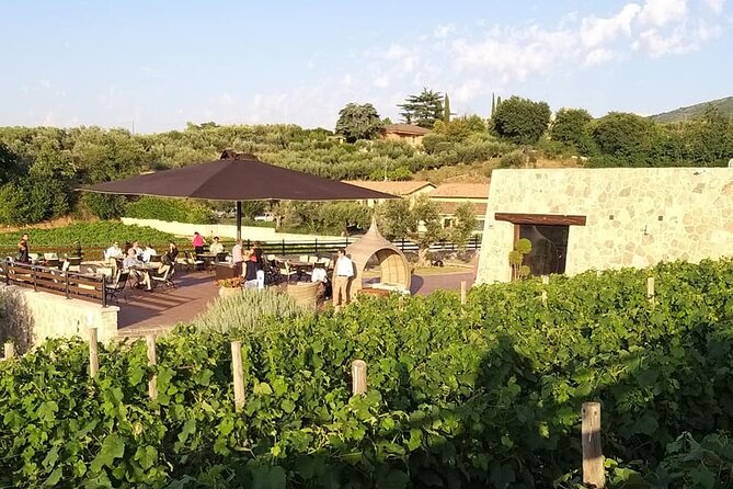 Small-Group Exclusive Winery and Wine Tasting Tour in Frascati - Key Points