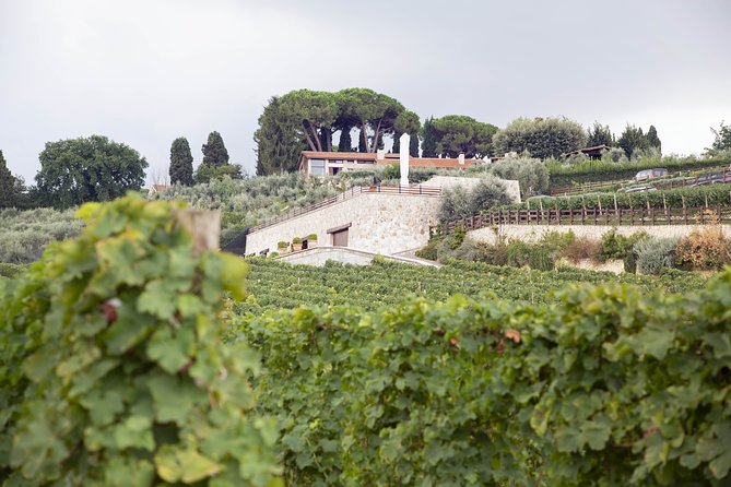 Small-Group Exclusive Winery and Wine Tasting Tour in Frascati - Highlights of the Experience