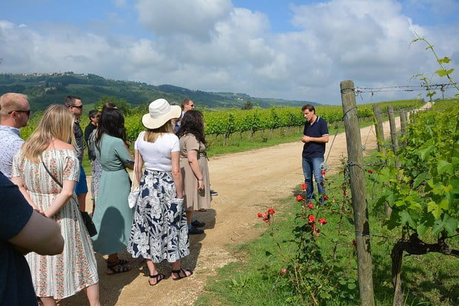SMALL GROUP Experience Cheese & Chianti visit dairy & 3 wineries - Practical Details and Considerations