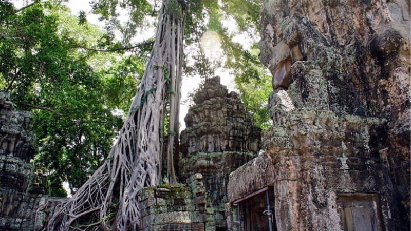 Small-Group Explore Angkor Wat Sunrise Tour with Guide - Who Is This Tour Best For?