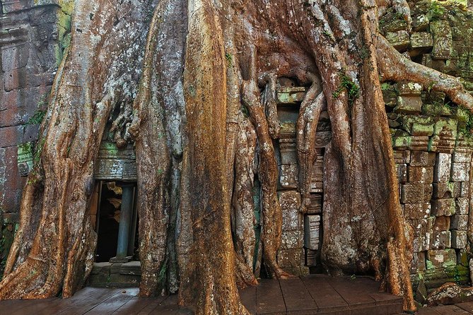 Small-Group Explore Angkor Wat Sunrise Tour with Guide from Siem Reap - Who Will Love This Tour?