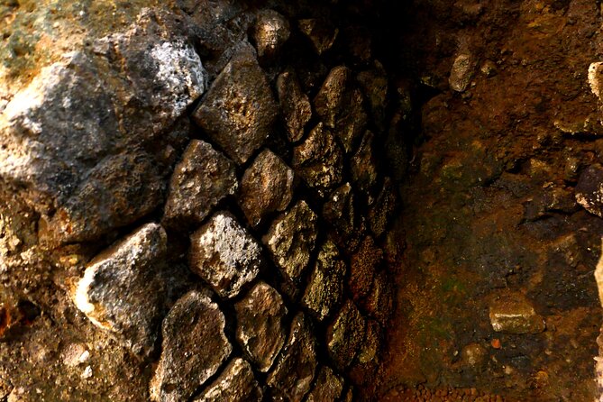 Small-Group Express Tour of Trevi Fountain With Undergrounds - Inclusions and Amenities for a Seamless Tour