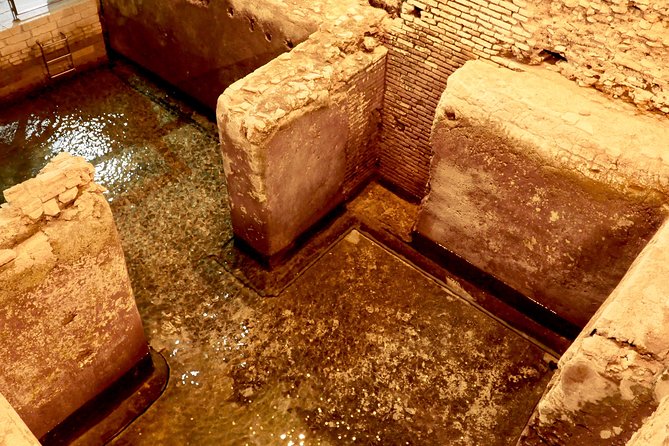 Small-Group Express Tour of Trevi Fountain With Undergrounds - Customer Feedback and Insights