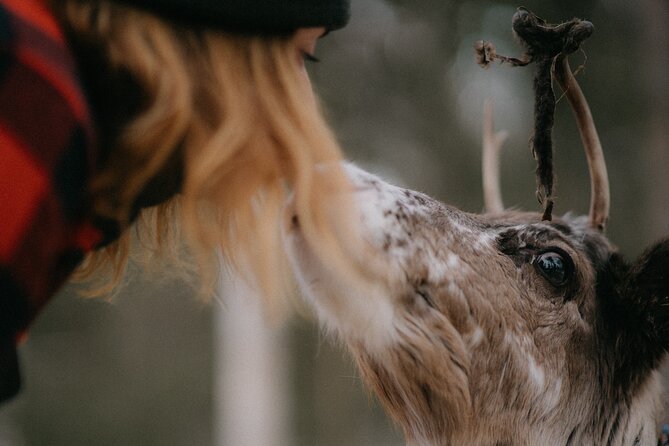 Small Group Fishing, Lunch& Reindeer Farm Visit in the Wilderness - An In-Depth Look at the Experience