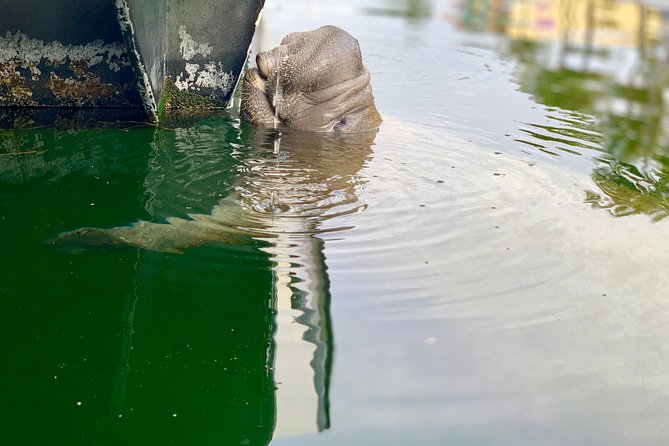 Small Group Florida Keys Eco Tour by Boat - Why This Tour Offers Good Value