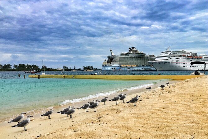 Small Group Fort Lauderdale&Palm Beach Day Tour from Miami FL - Who Will Love This Tour?