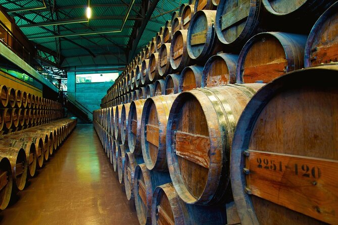 Small Group Full-Day Arrábida Wine Tour and Food Tasting - Arrábida Natural Park: Discovering Wines and Landscapes