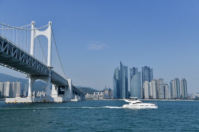 Small Group Full Day Busan Tour (Max 6 Pax) - Who Will Love This Tour?