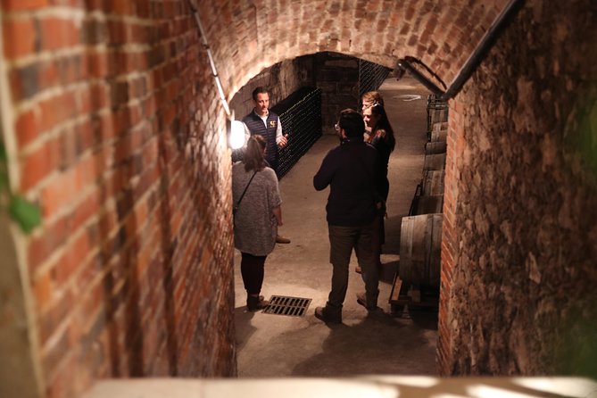 Small Group - Full Day Champagne Tour 3 Small Champagne Growers - Transportation and Accessibility