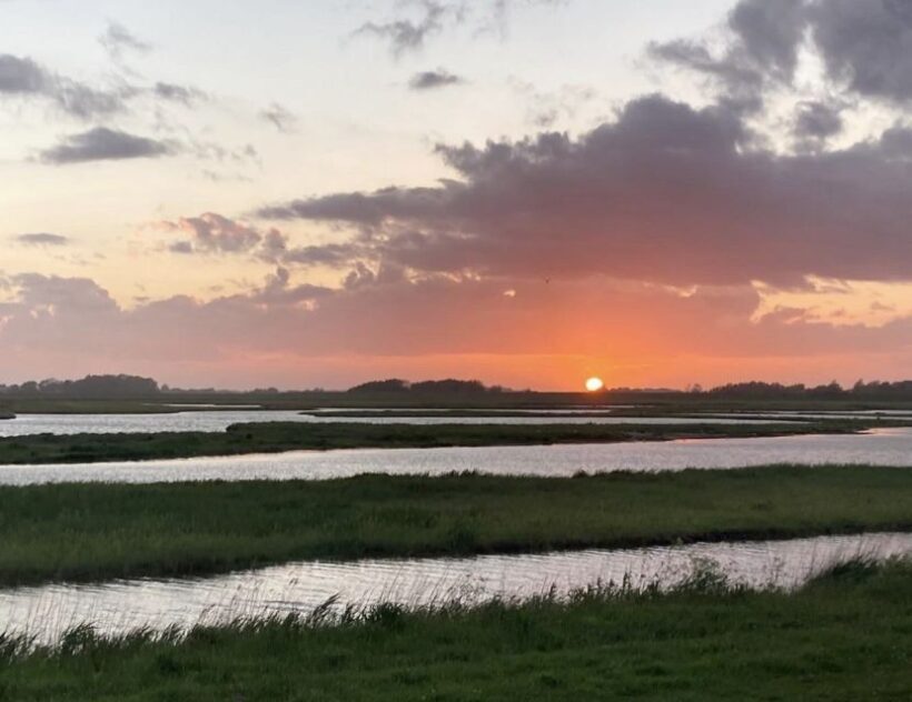 Small group full day island tour to Texel from Amsterdam - The Itinerary in Detail