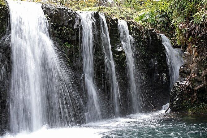 Small Group Full Day Road to Hana Adventure - FAQ