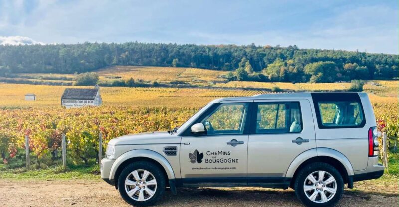 Small group full day tour in the Burgundy vineyards - An Authentic Burgundy Experience in Just One Day