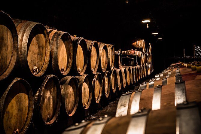 Small-Group Full-Day Tour of Côte de Nuits, Côte de Beaune Vineyards and Beaune Historical District - An In-Depth Look at the Burgundy Wine Tour Experience