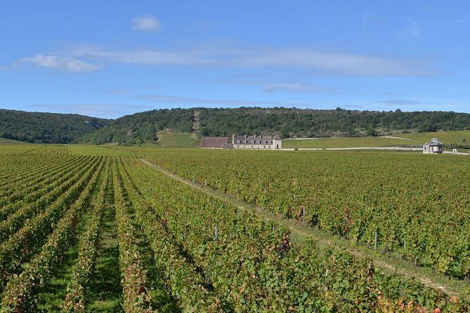 Small-Group Full-Day Tour of Côte de Nuits, Côte de Beaune Vineyards and Beaune Historical District - Who Will Love This Tour?