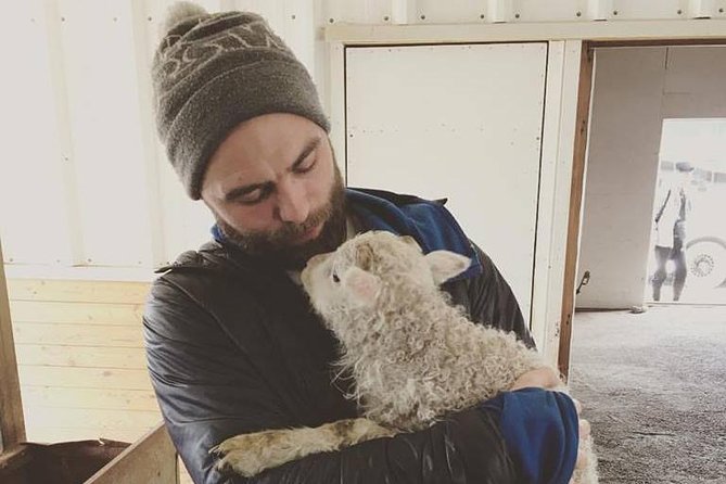 Small-group Golden Circle Classic Tour from Reykjavik - Who Is This Tour Best For?