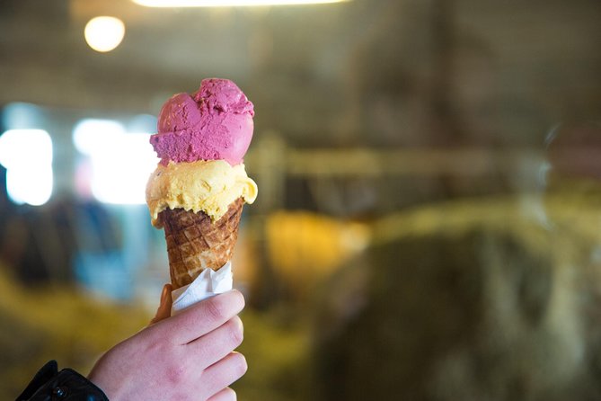 Small-Group Golden Circle Full-Day Tour From Reykjavik - Admiring the Gullfoss Waterfall
