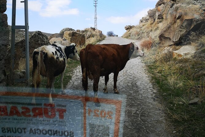 Small-Group Green Tour (South Tour) (PRVATE TOUR) - FAQ