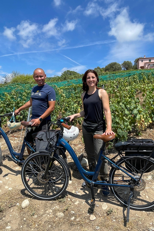 Small Group Guided E-Bike Tour in Nices Organic Vineyard - What the Reviews Say