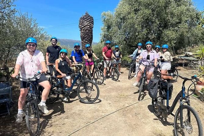 Small Group Guided E-bike Tour in Nices Organic Vineyard - Whats Included in the Tour