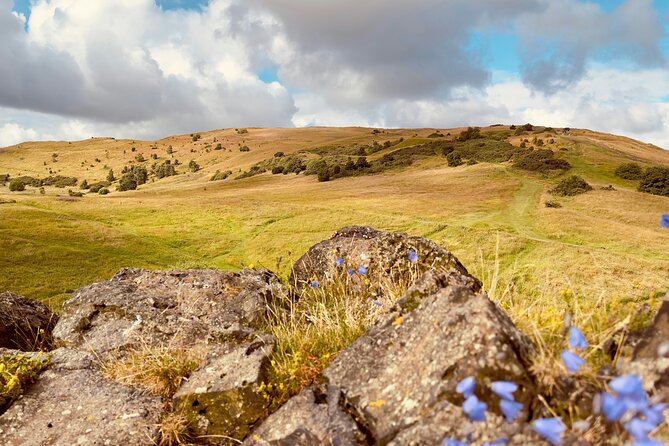 Small-Group Guided Hike of Arthur's Seat and Holyrood Park - Real Traveler Insights and Expectations