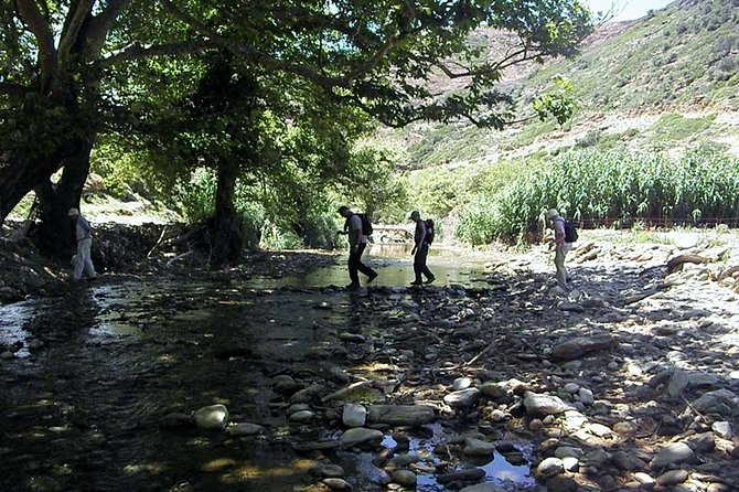 Small-Group Guided Hiking Tour in Andros with picnic on the beach - Who Will Enjoy This Tour?