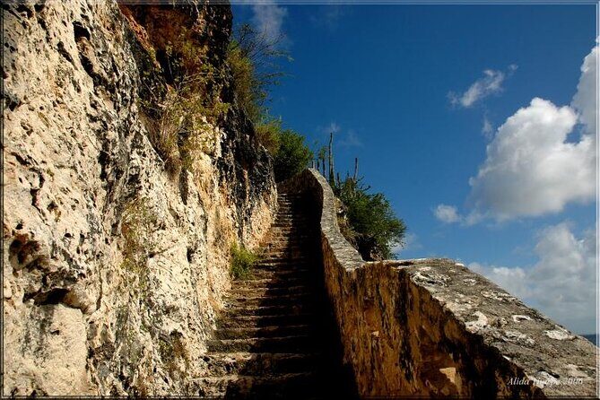 Small-Group Guided North & South Tour of Bonaire with Pick Up - Local Flavors and Coastal Views