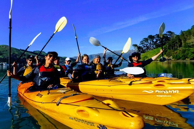 Small group guided sea kayaking in Akaroa marine reserve - An In-Depth Look at the Akaroa Sea Kayaking Experience