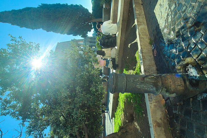 Small Group Guided Tour Colosseum Roman Forum & Palatine Hill - Practical Tips for Visitors