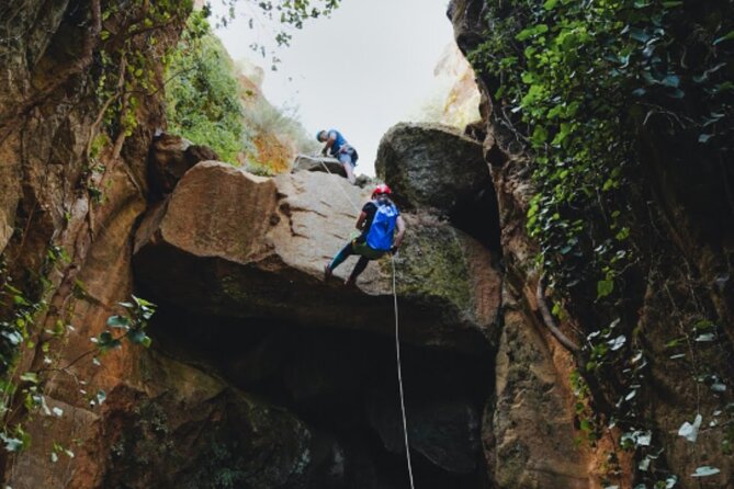 Small-Group Half-Day Canyoning in La Orotava - Participant Requirements and Recommendations