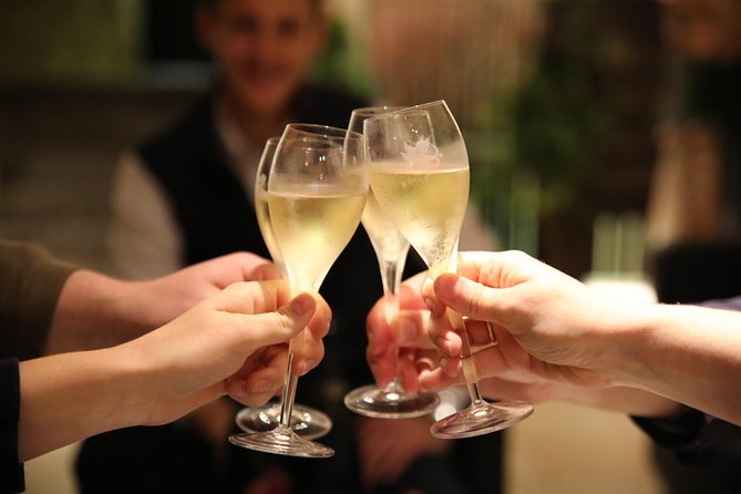 Small Group - Half Day Champagne Tour - Visit of 2 Small Producers/Growers - Who Should Consider This Tour?