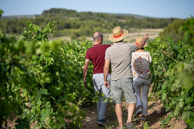 Small-Group Half-Day Châteaux of Montpellier Wine Tour - Meeting and Pickup Details