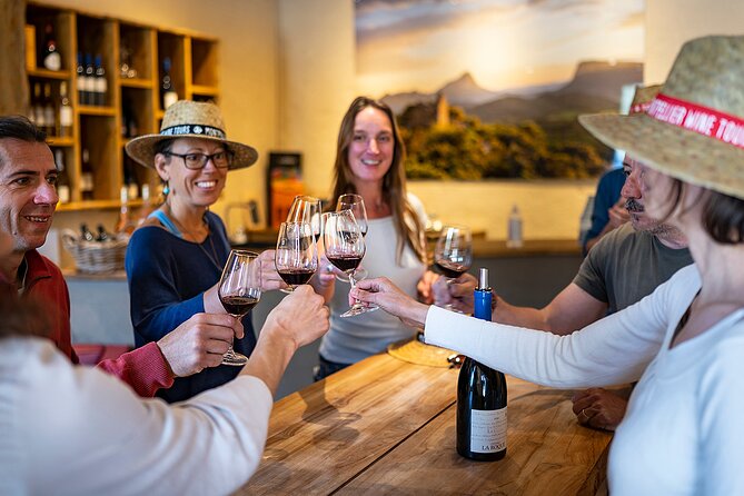 Small-Group Half-Day Languedoc Pic Saint-Loup Wine Tour From Montpellier - Guest Experiences