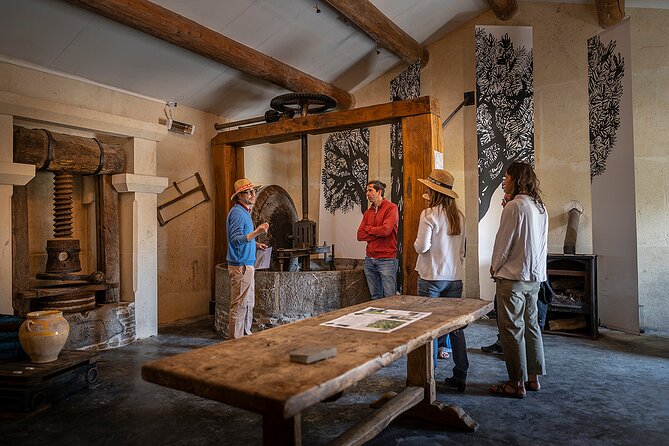 Small-Group Half-Day Languedoc Wine and Olive Tour From Montpellier - A Scenic Journey Through Vineyards and Olive Groves