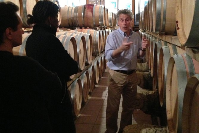 Small-Group Half-Day Languedoc Wine and Olive Tour From Montpellier - Insights From Our Expert Guide