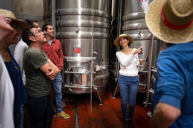 Small-Group Half-Day Languedoc Wine and Oyster Tour From Montpellier - Fresh Oysters From a Shellfish Farm