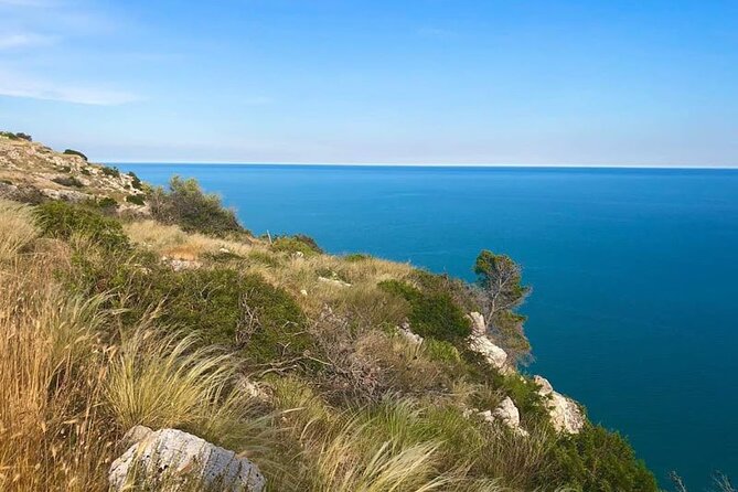 Small Group Half Day Tour of POLIGNANO a MARE and MONOPOLI - What’s Included and What’s Not