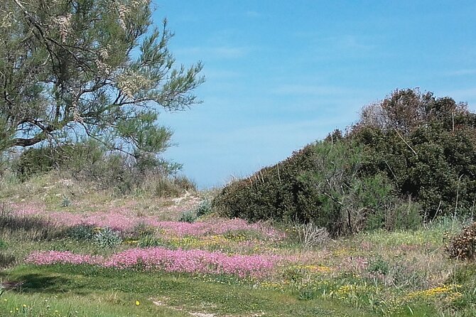 Small Group Half Day Tour of POLIGNANO a MARE and MONOPOLI - Comparing Cost and Value