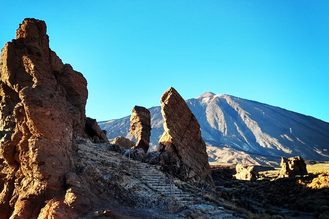 Small-Group Half-Day Tour of Teide National Park With Pickup - Customer Feedback and Ratings
